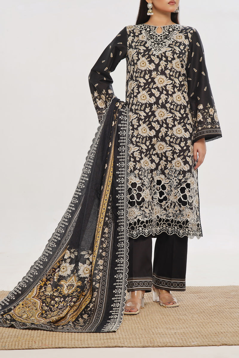 Anmol Embroidered Cottel Collection – VS Textile